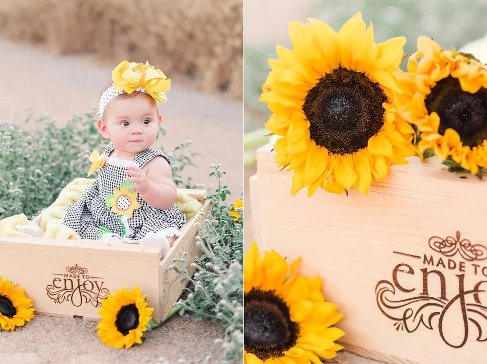 Summertime Sunflower Baby — Jen Peterson Photography