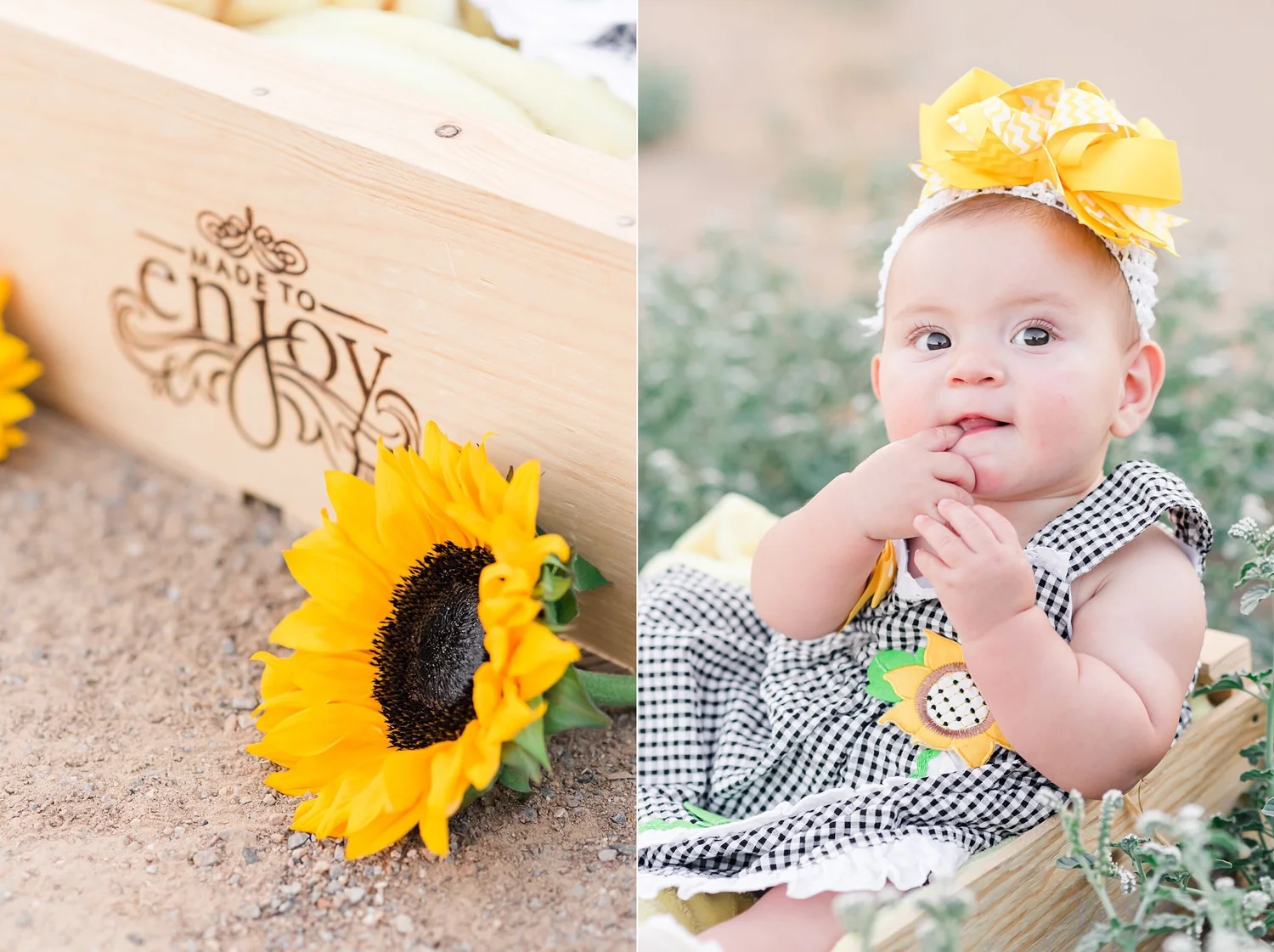 Summertime Sunflower Baby — Jen Peterson Photography