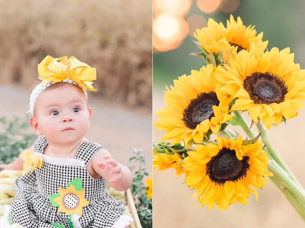 Summertime Sunflower Baby — Jen Peterson Photography
