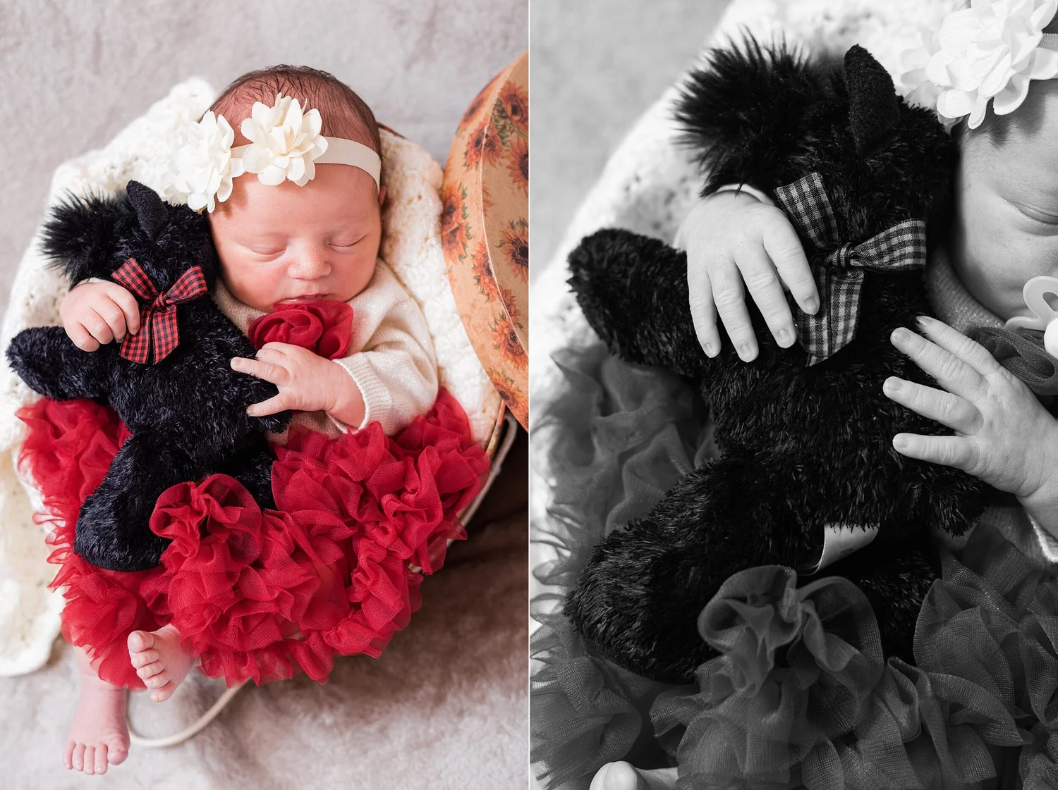 Meet Sweet Baby Lillian! — Jen Peterson Photography