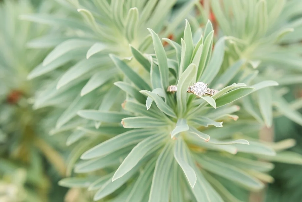 Glowy Sunset Engagement Session | California Wedding Photographer — Jen ...