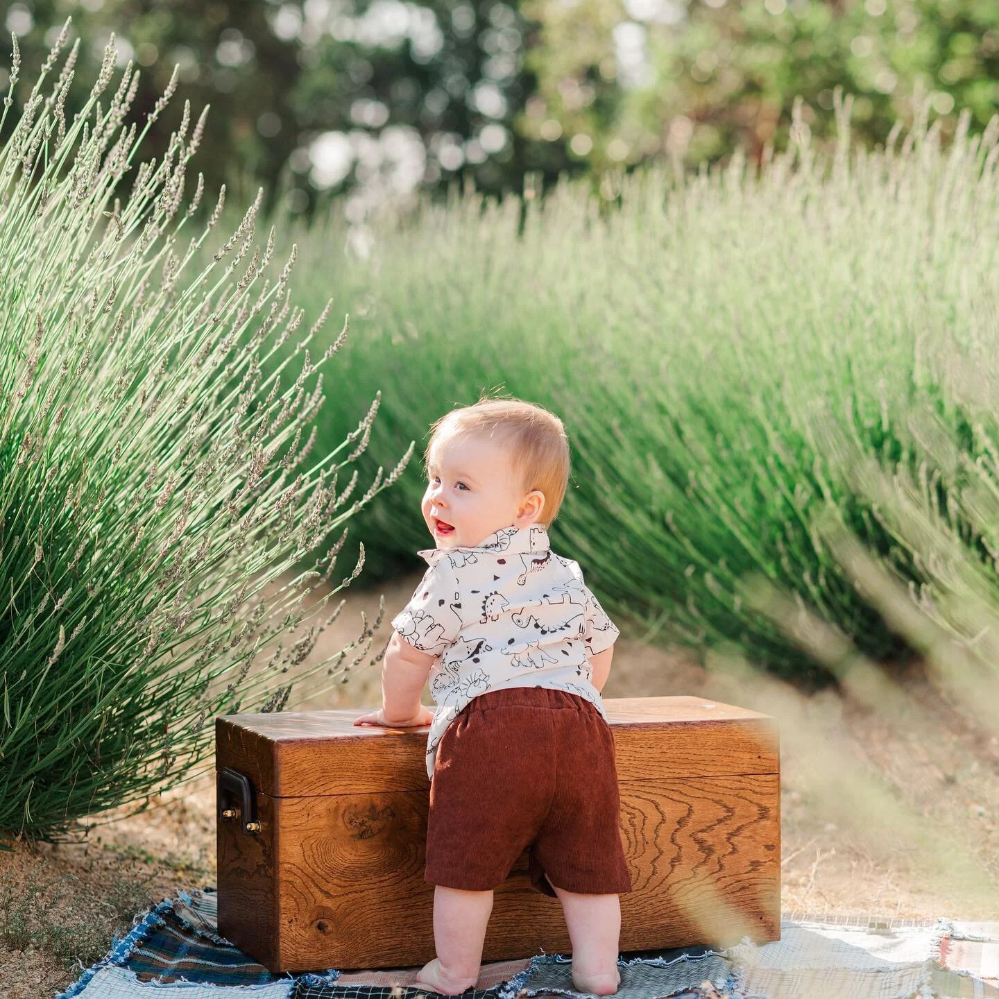 Baby Alison — Jen Peterson Photography