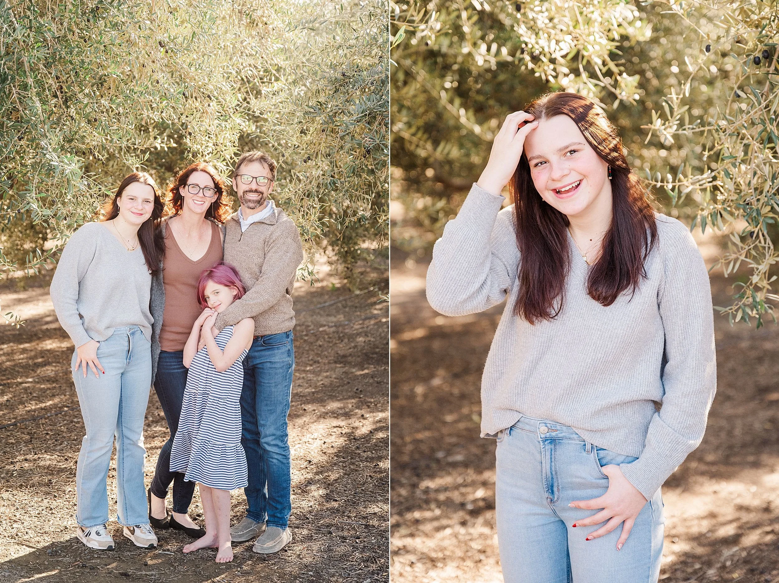 Olive Tree Orchard Extended Family Session | Orland, California — Jen ...