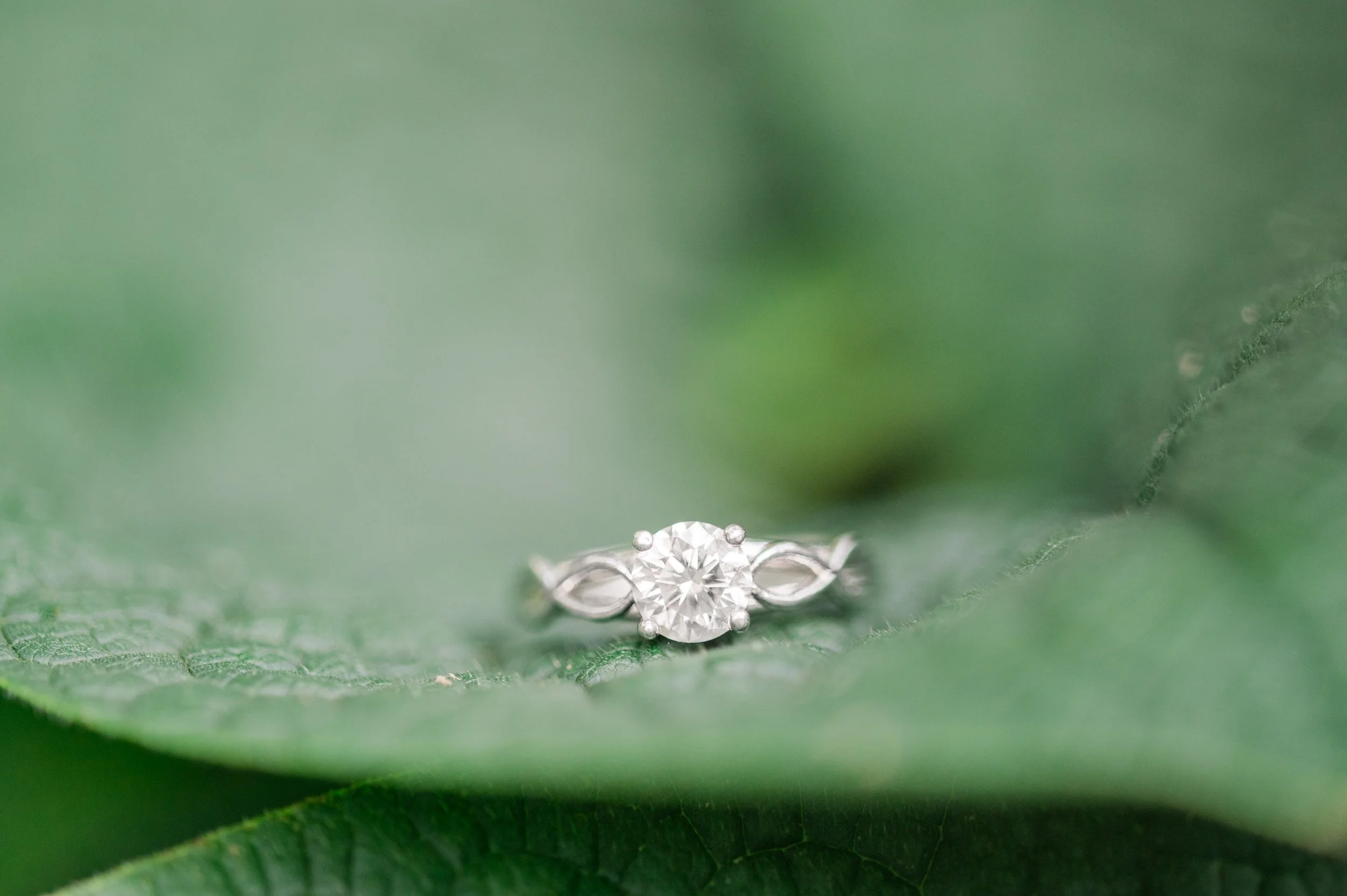Gover Ranch Western Americana Senior Session — Jen Peterson Photography
