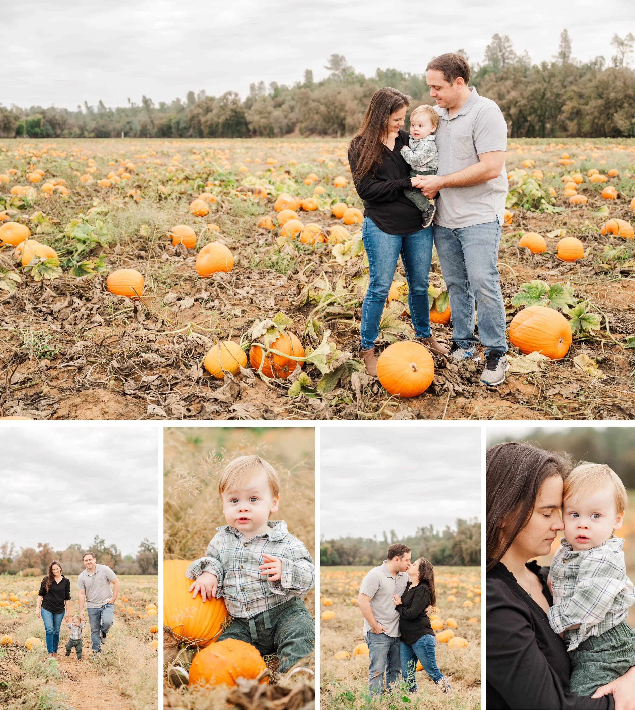A Nash Ranch Pumpkin Patch Family Session — Jen Peterson Photography