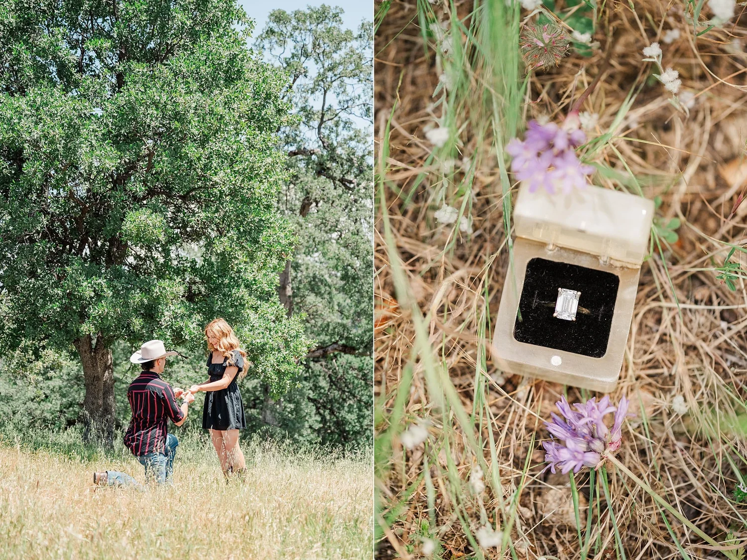 Surprise Proposal at the Family Ranch | Oak Run, California — Jen ...