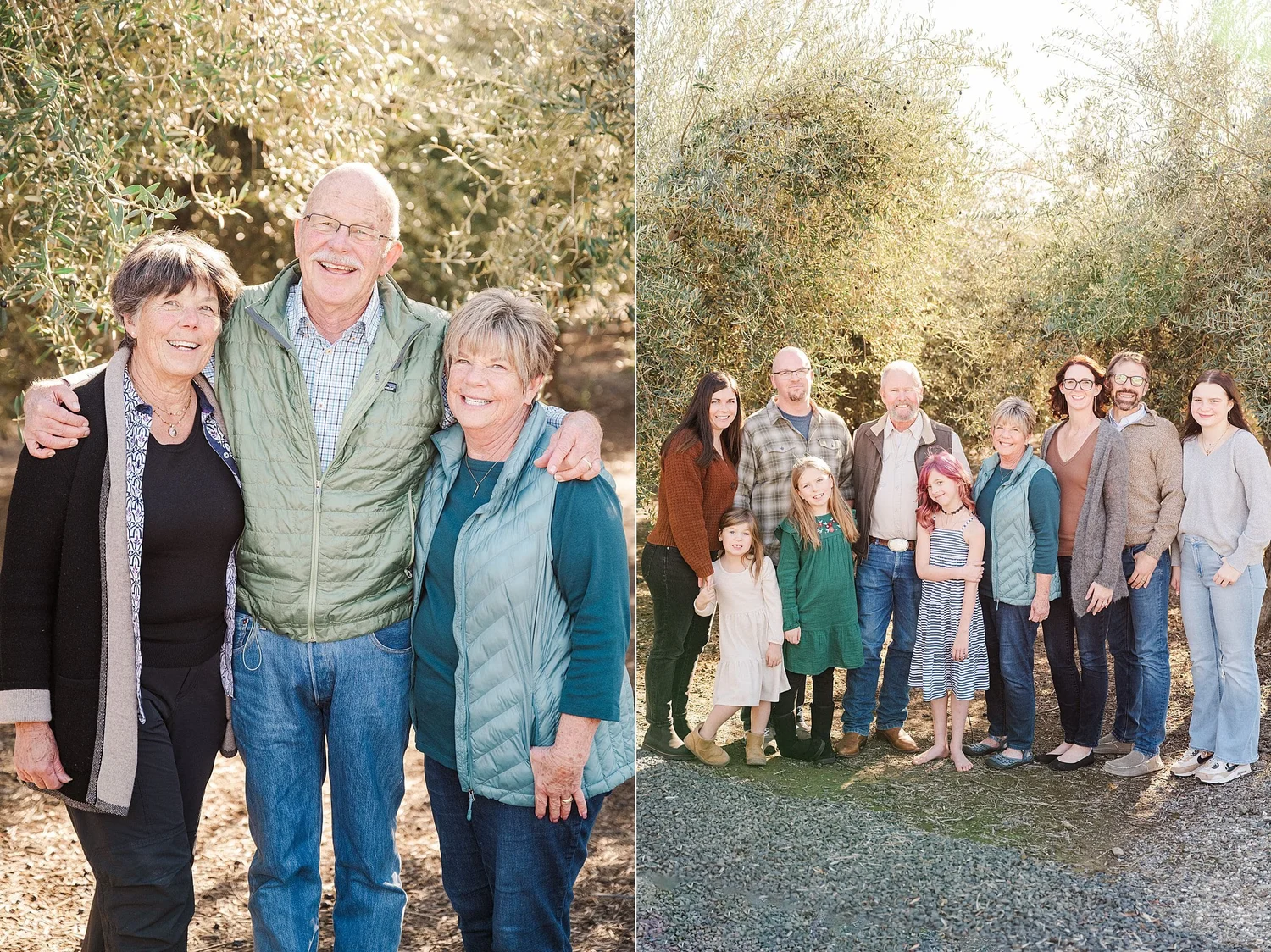 Olive Tree Orchard Extended Family Session | Orland, California — Jen ...