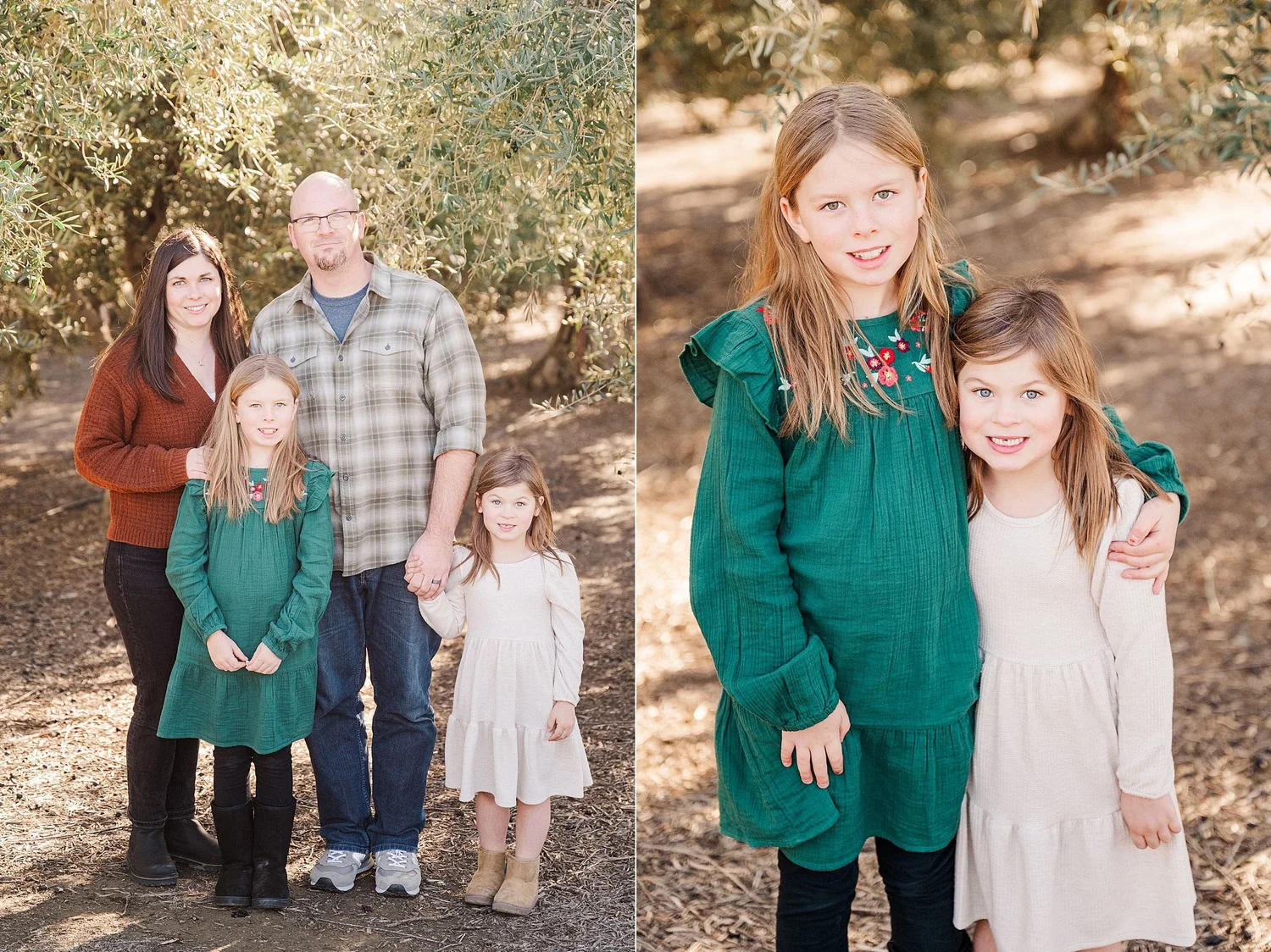 Olive Tree Orchard Extended Family Session | Orland, California — Jen ...