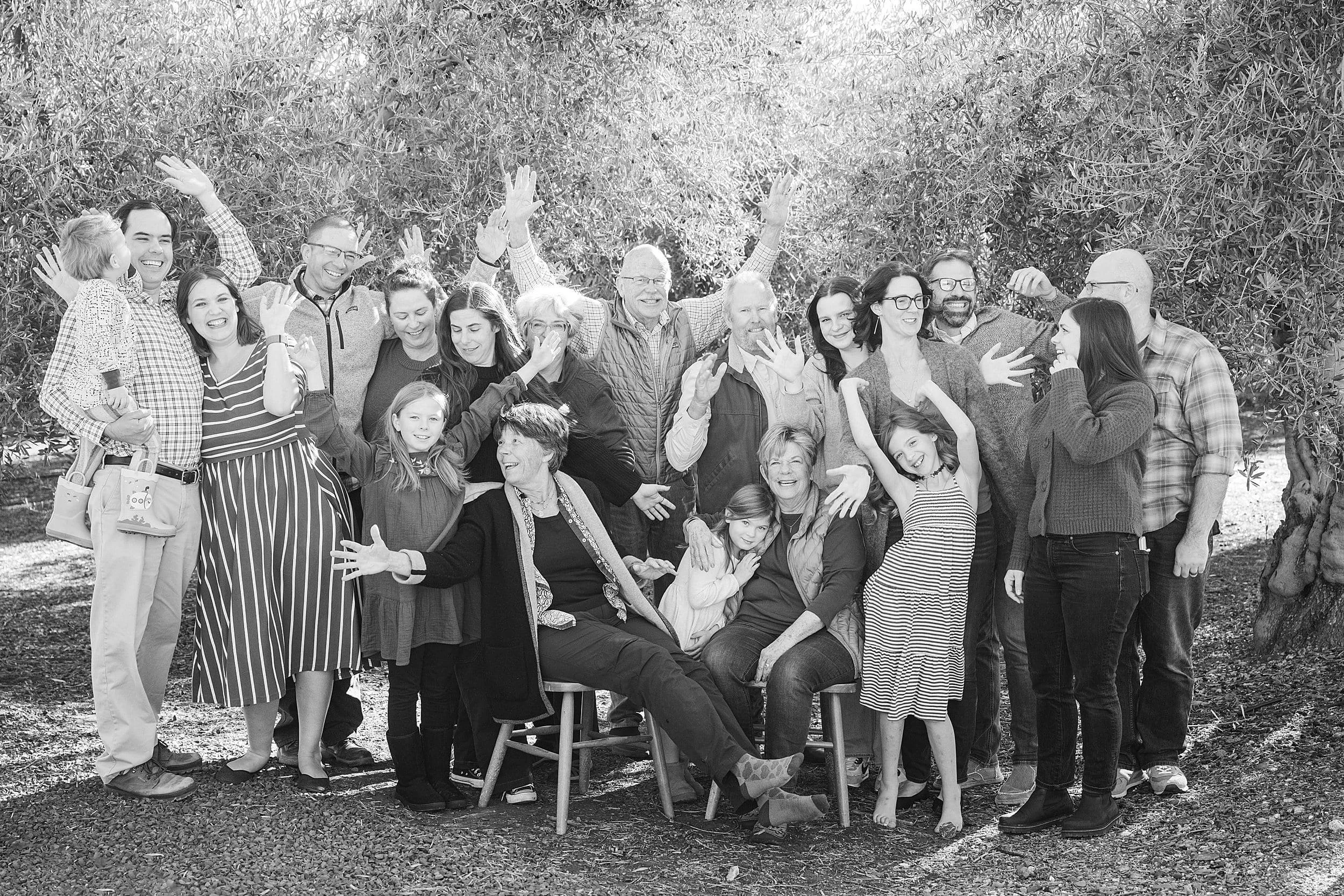 Olive Tree Orchard Extended Family Session | Orland, California — Jen ...