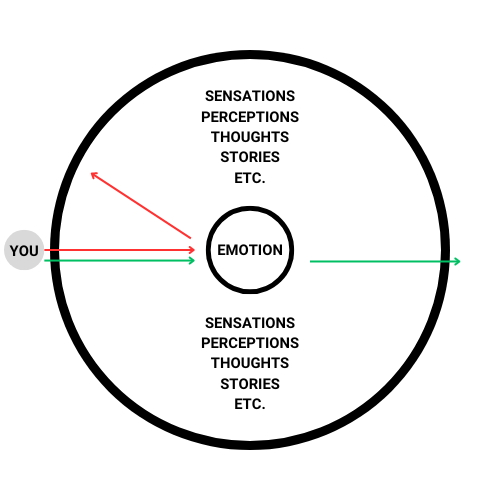 Understanding Emotional Contraction and Expansion: Navigating the ...