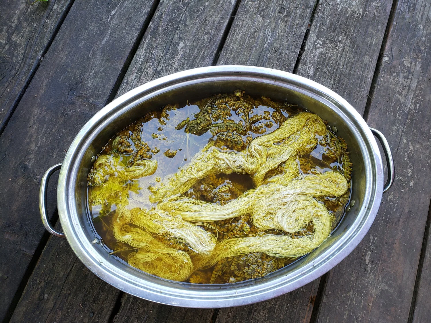 Making Dye From Goldenrod Flowers — Cedar Dell Designs