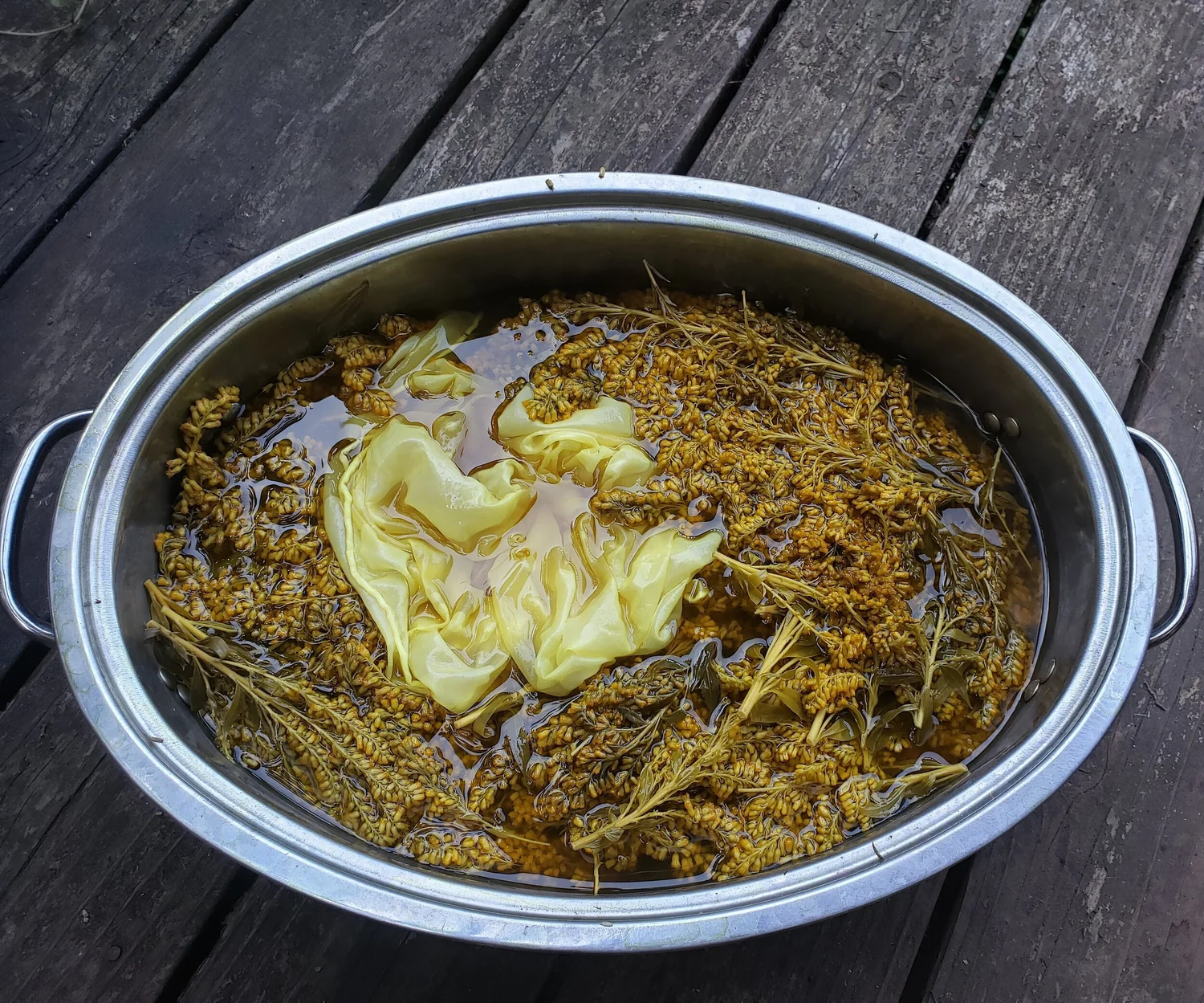 Making Dye From Goldenrod Flowers — Cedar Dell Designs