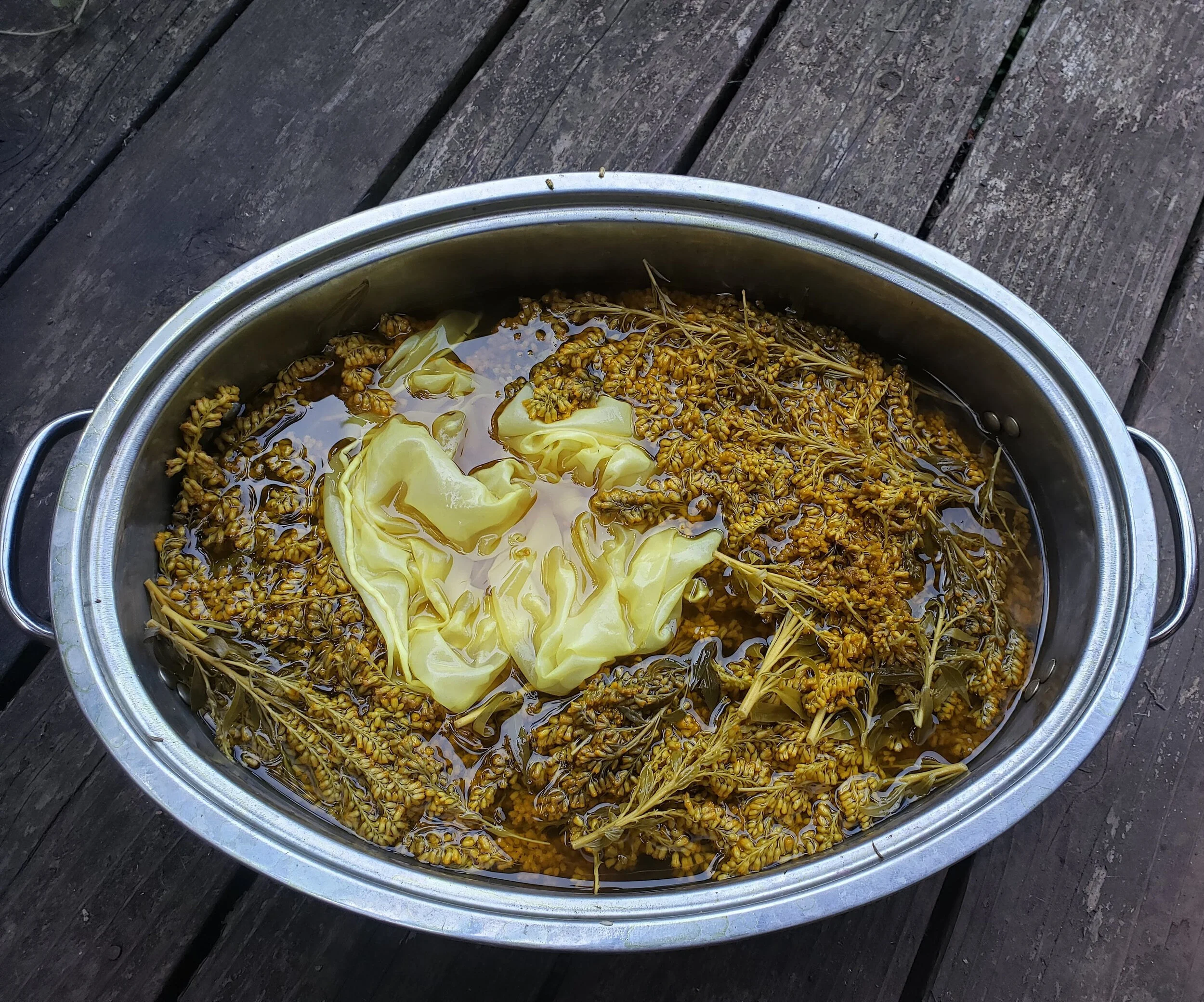 Making Dye From Goldenrod Flowers — Cedar Dell Designs