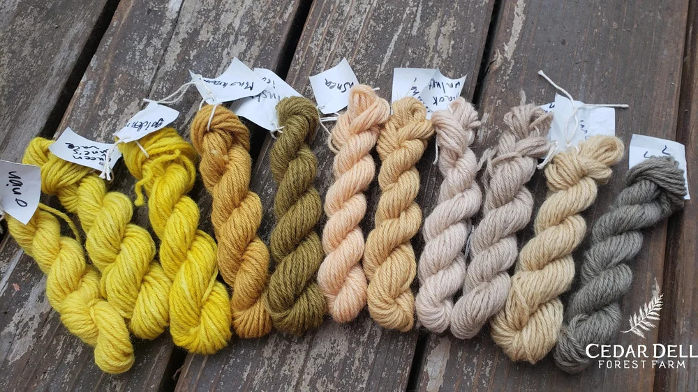 Solar Dyeing with Natural Dyes — Cedar Dell Designs