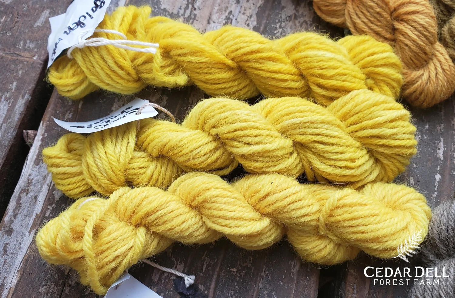 Solar Dyeing with Natural Dyes — Cedar Dell Designs