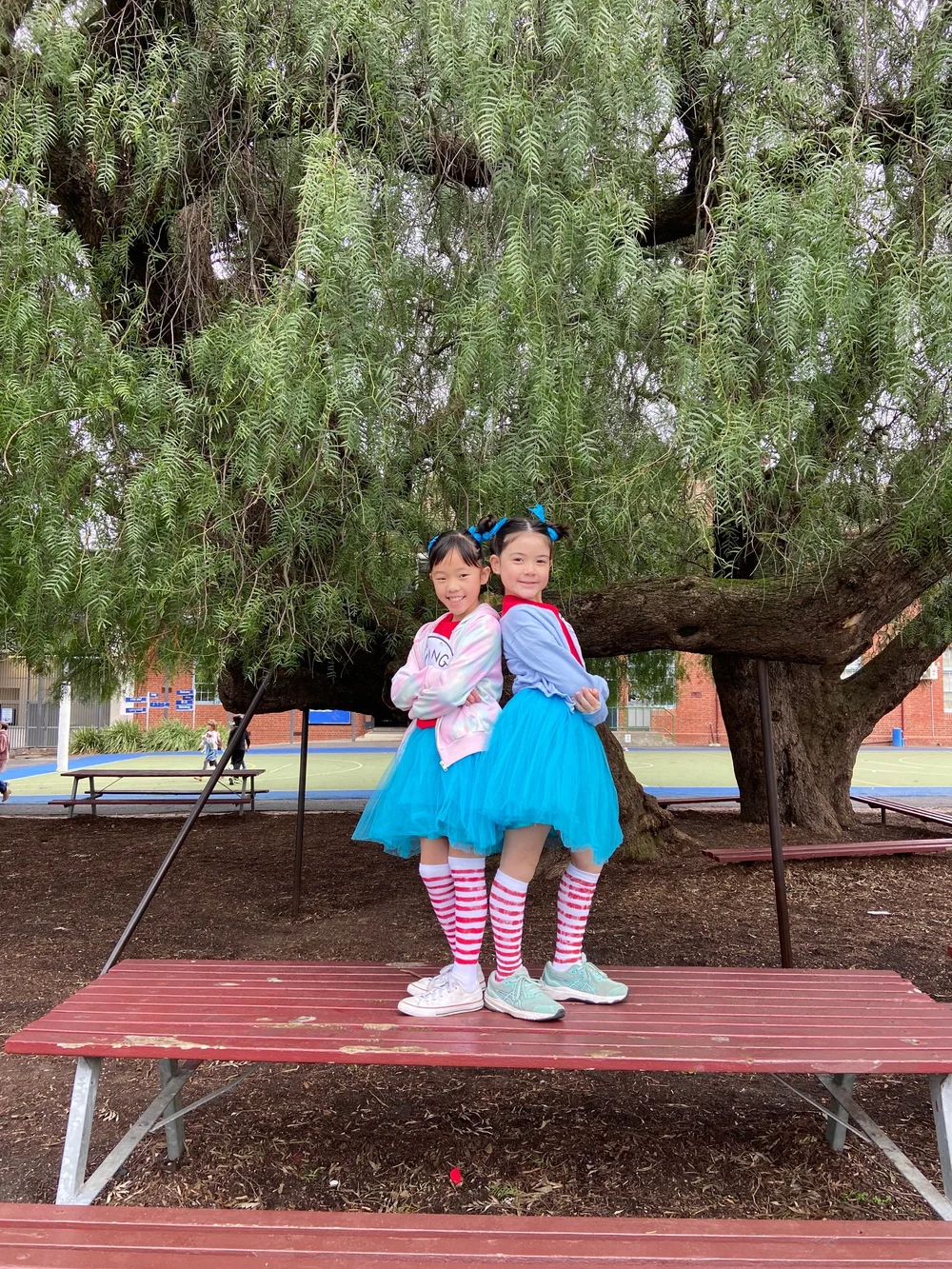 Book Week Celebrations — Kew Primary School