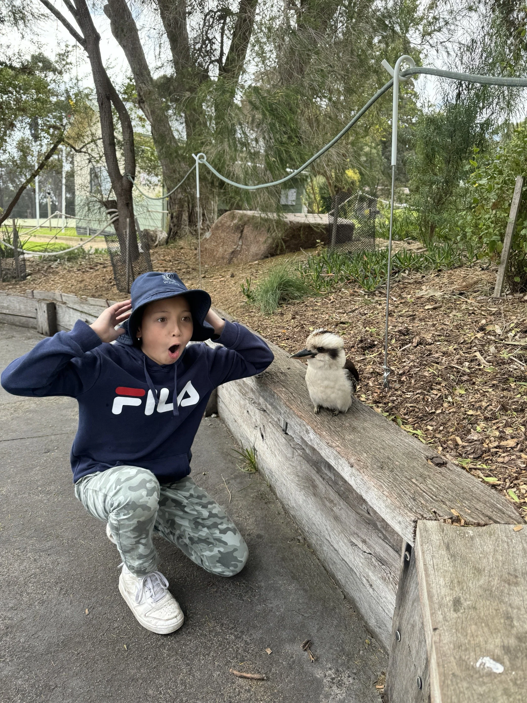Year 5 Camp — Kew Primary School