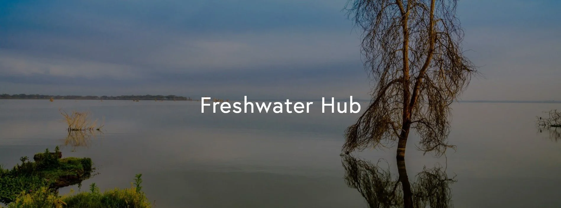 Sea Around Us - Indian Ocean launches a new initiative: The Freshwater ...