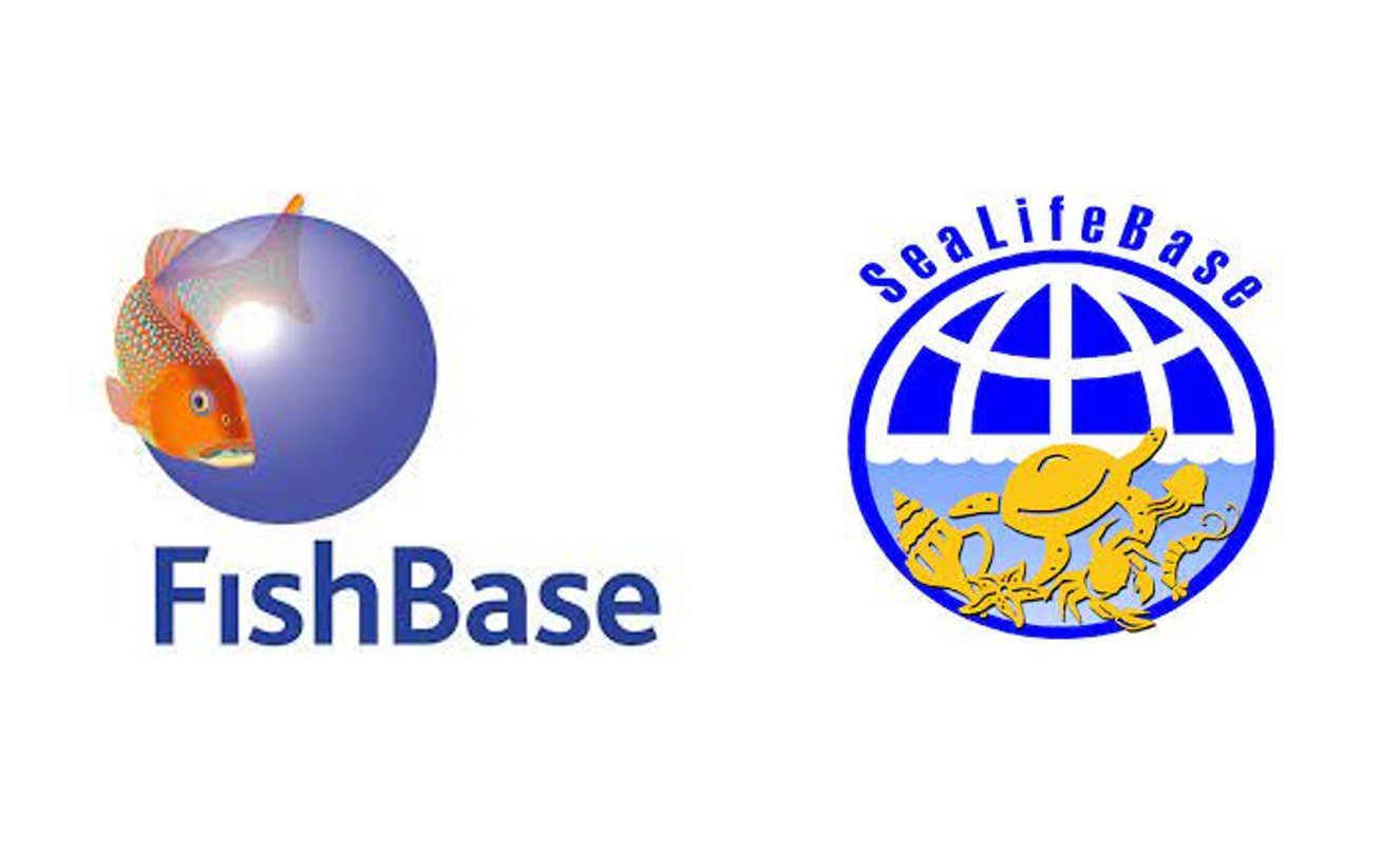 Partners — Sea Around Us - Indian Ocean