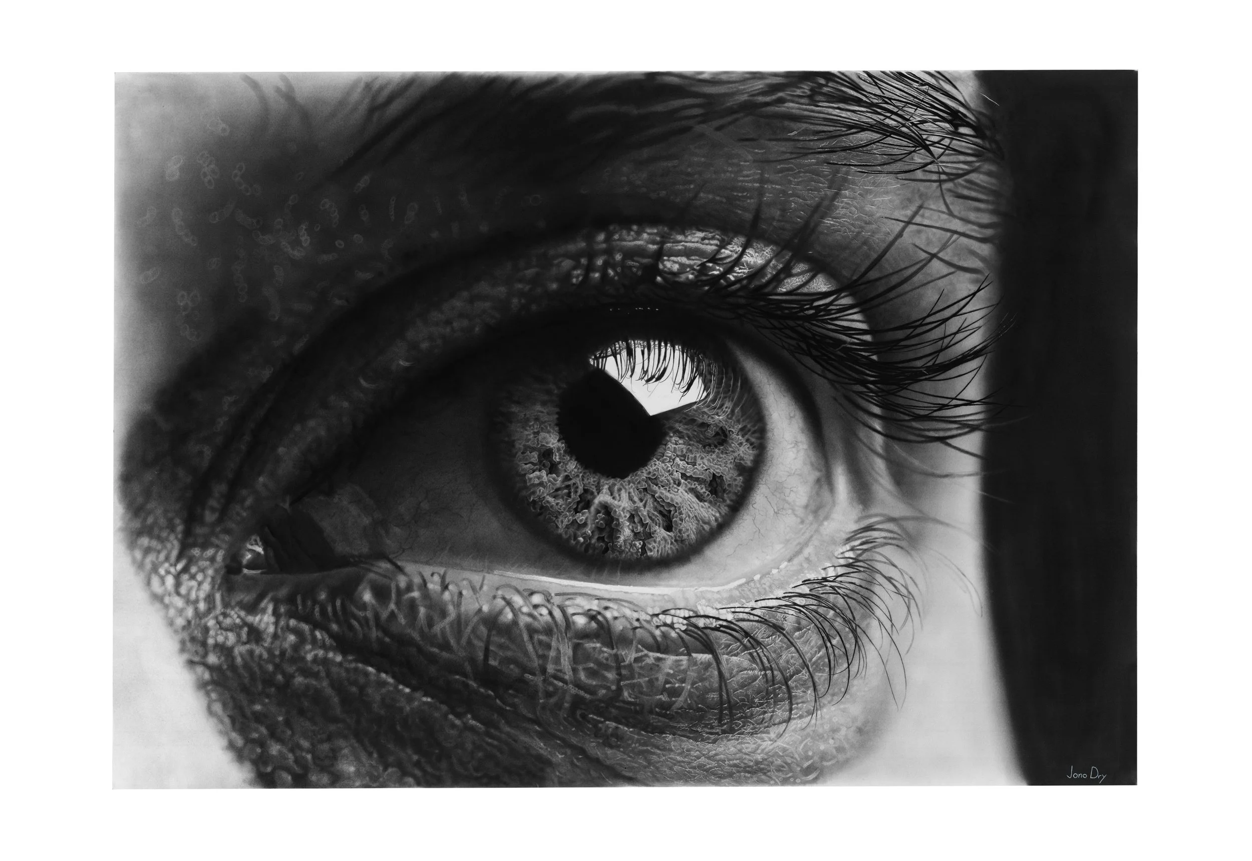 Prints — Jono Dry Art