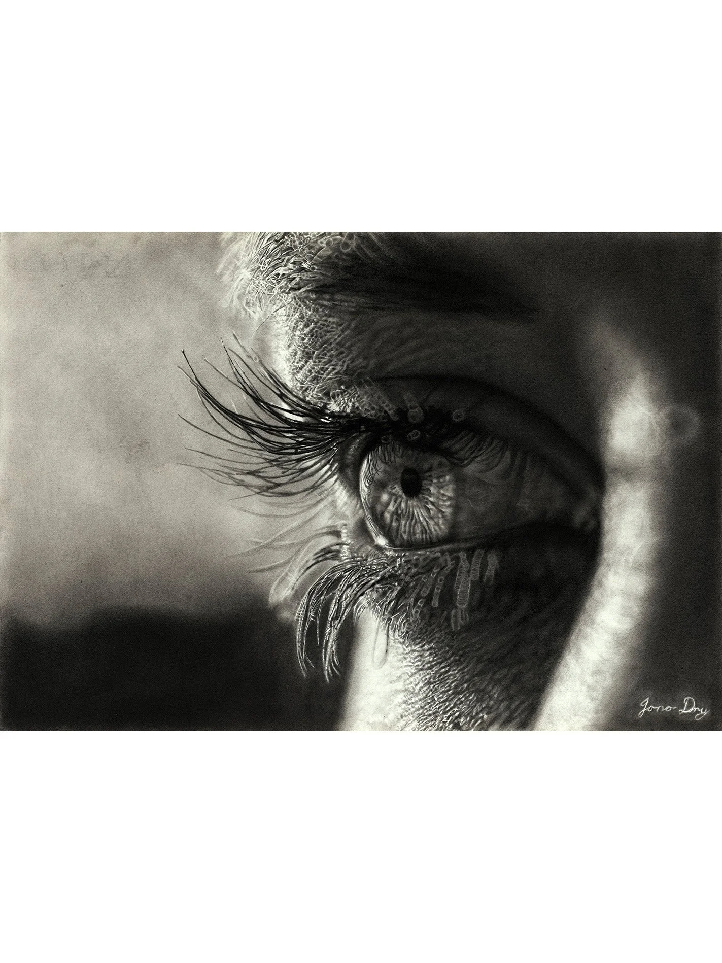 Prints — Jono Dry Art