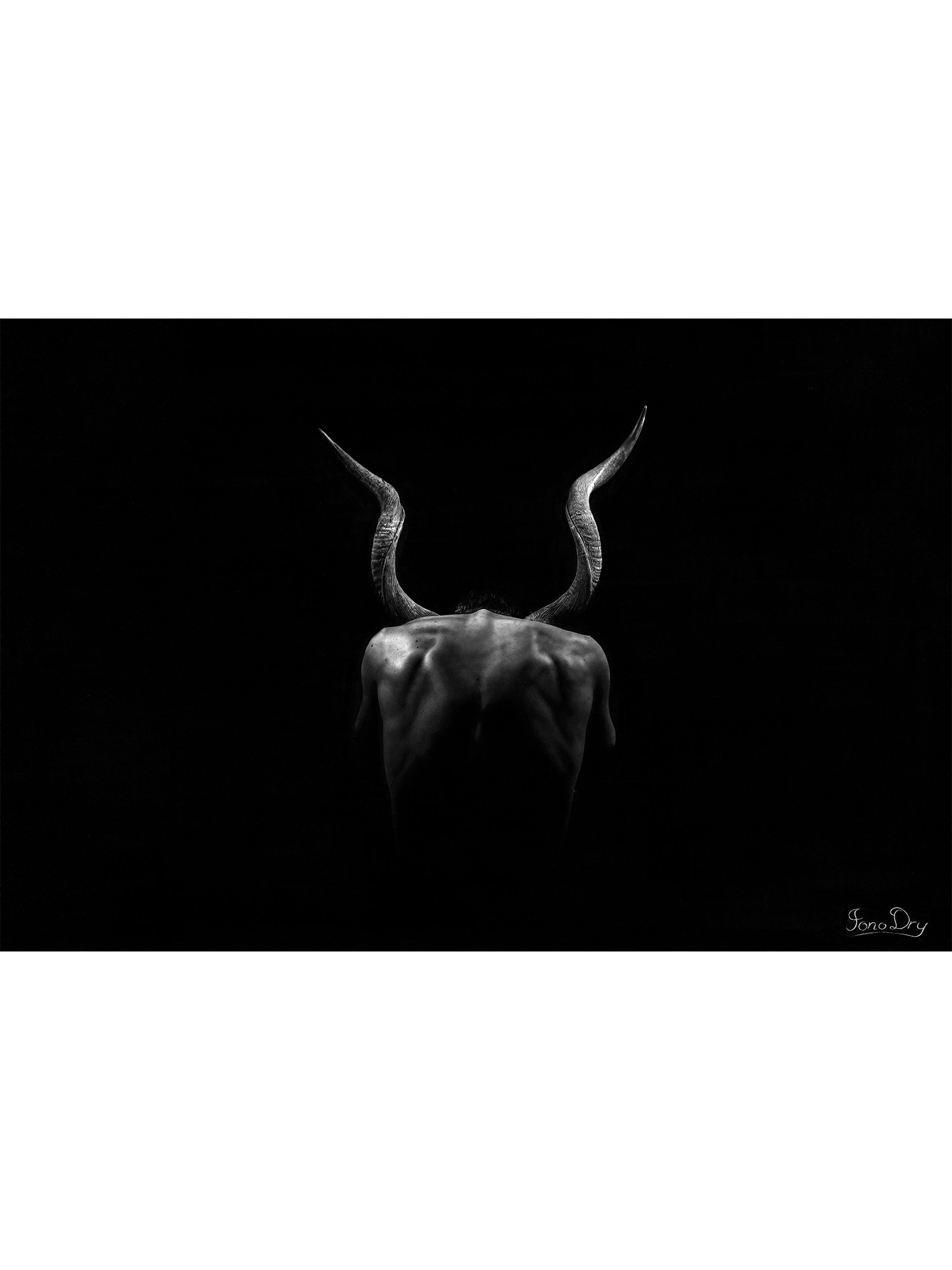 Prints — Jono Dry Art