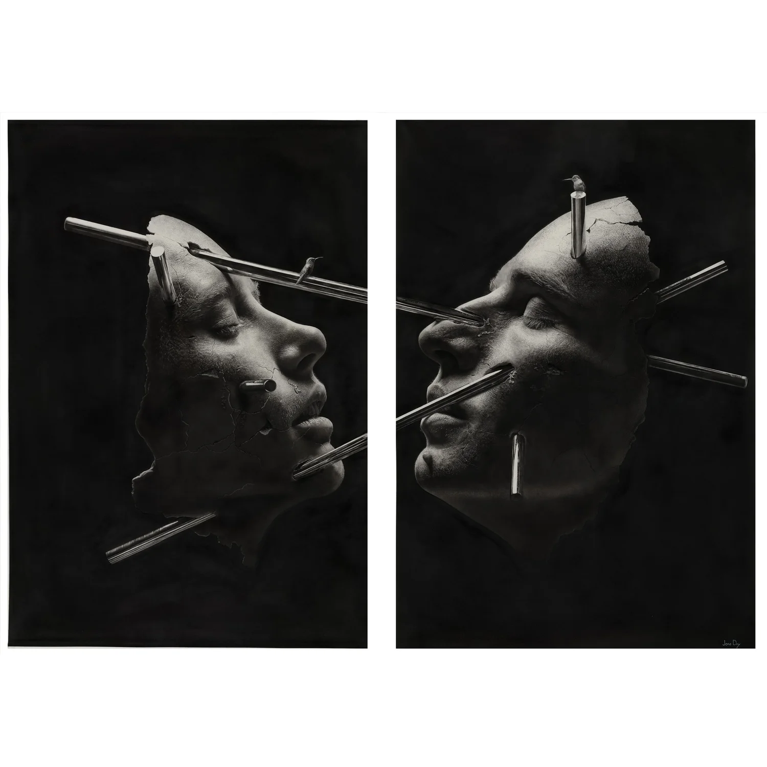 Prints — Jono Dry Art