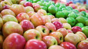 Map & Guide — Footscray Market