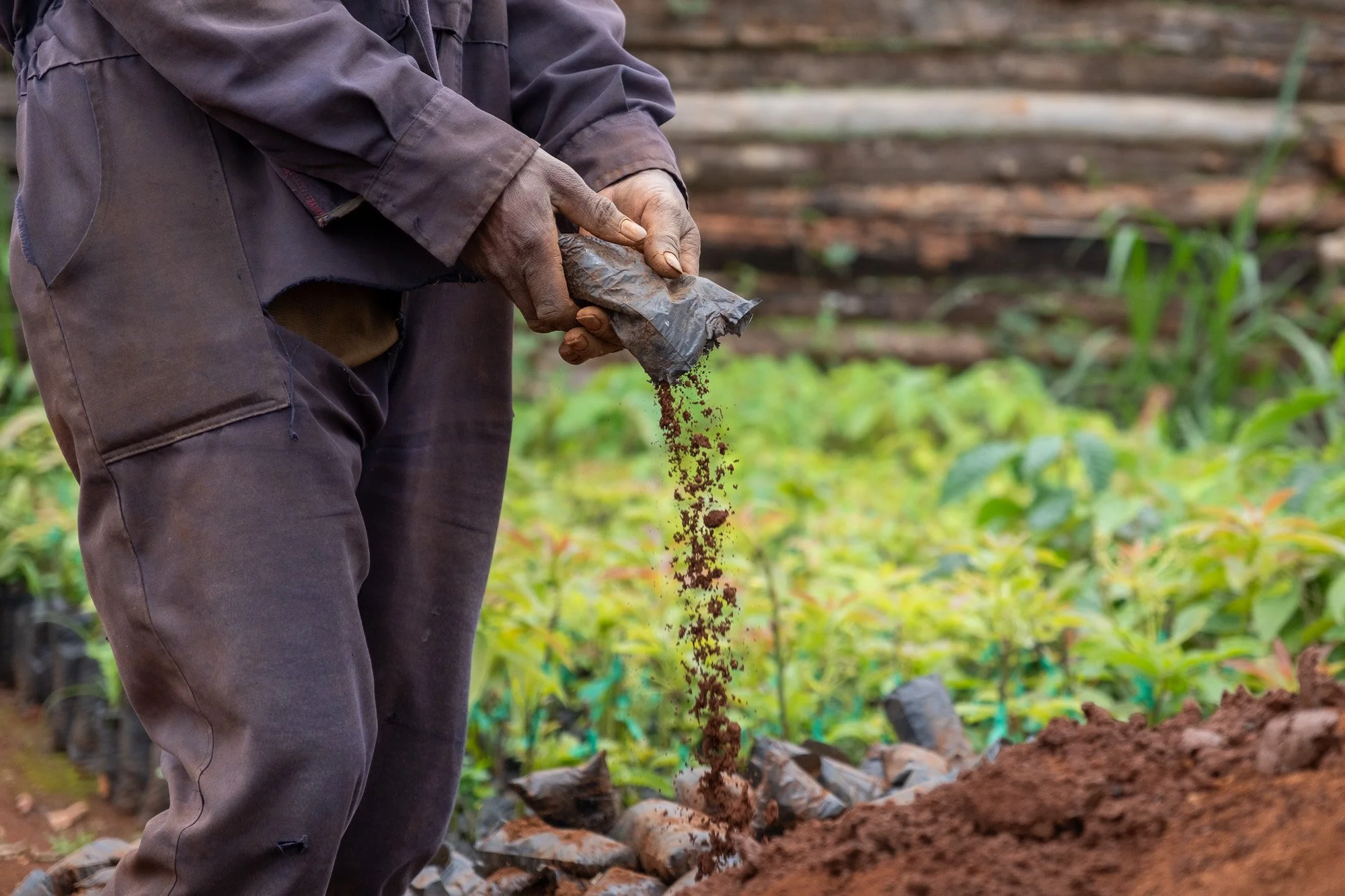 Give a Fish, Teach to Fish, or Something Better? — AgGrandize Global