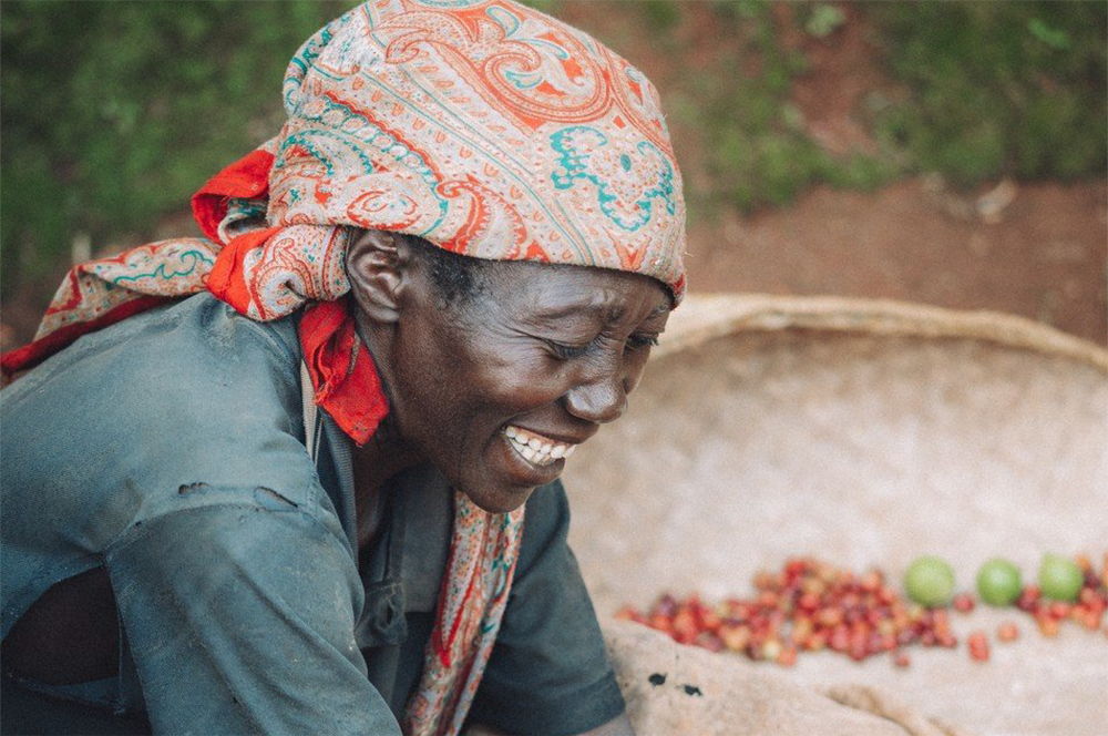 Our Work — AgGrandize Global