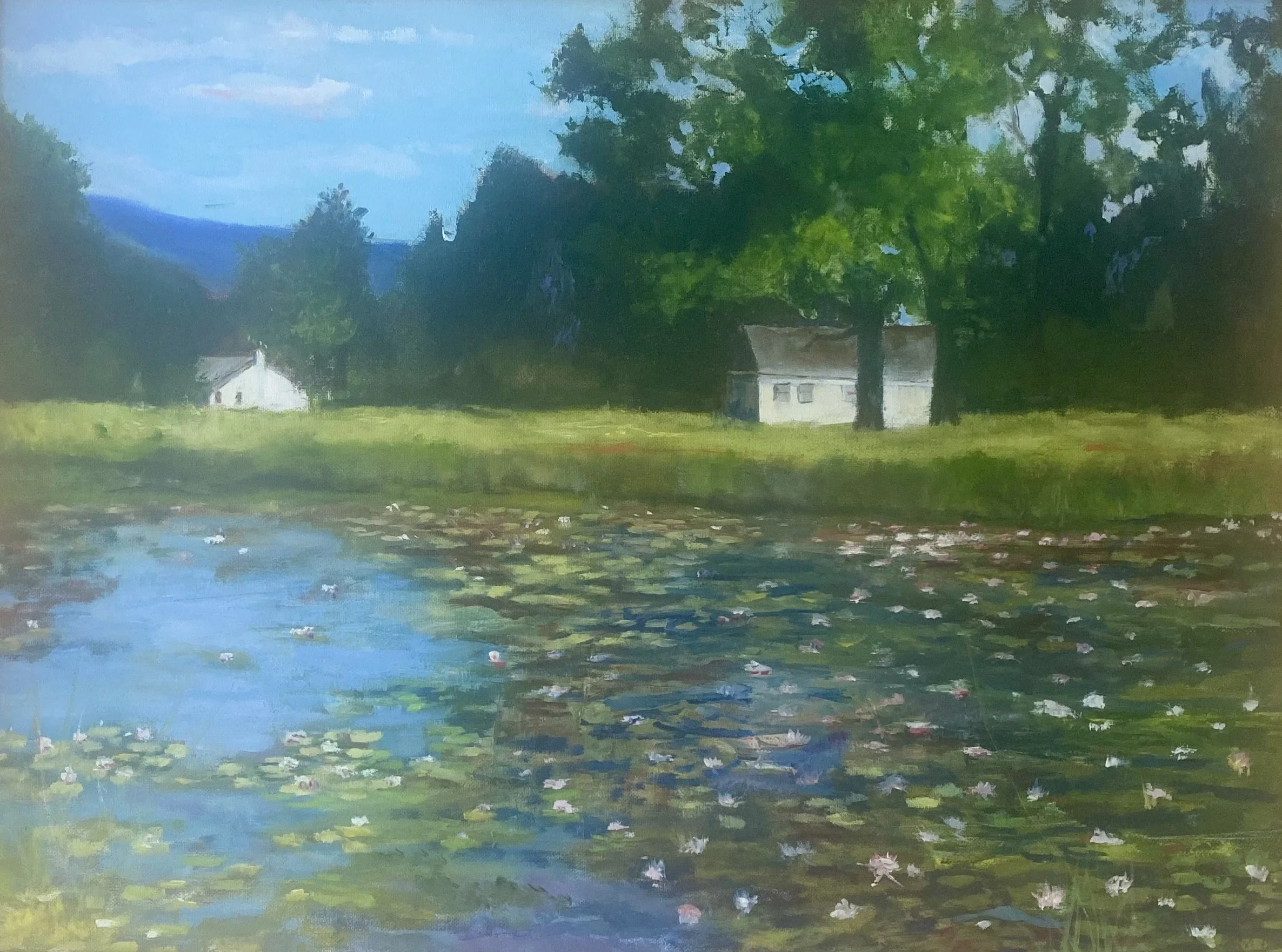 Judy Stach — West Wind Fine Art