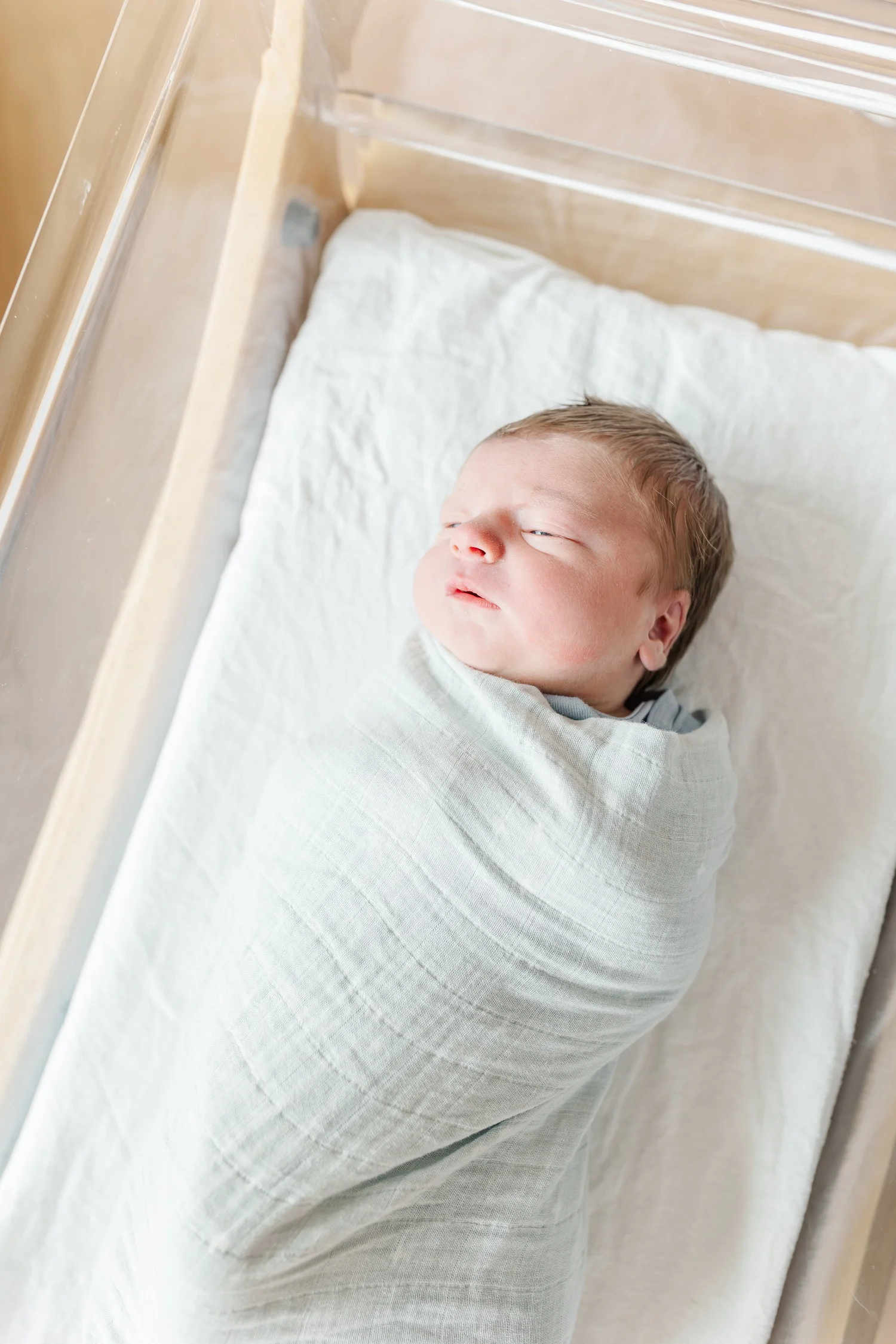 Baby Oliver {Greenville, South Carolina Fresh 48 Newborn Photography ...