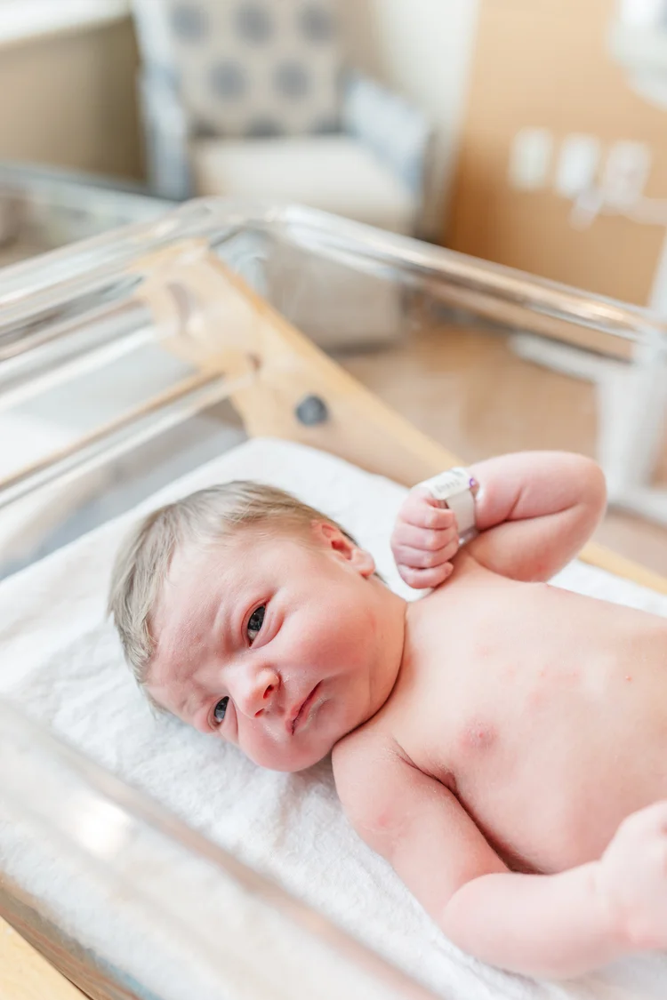 Baby Oliver {Greenville, South Carolina Fresh 48 Newborn Photography ...
