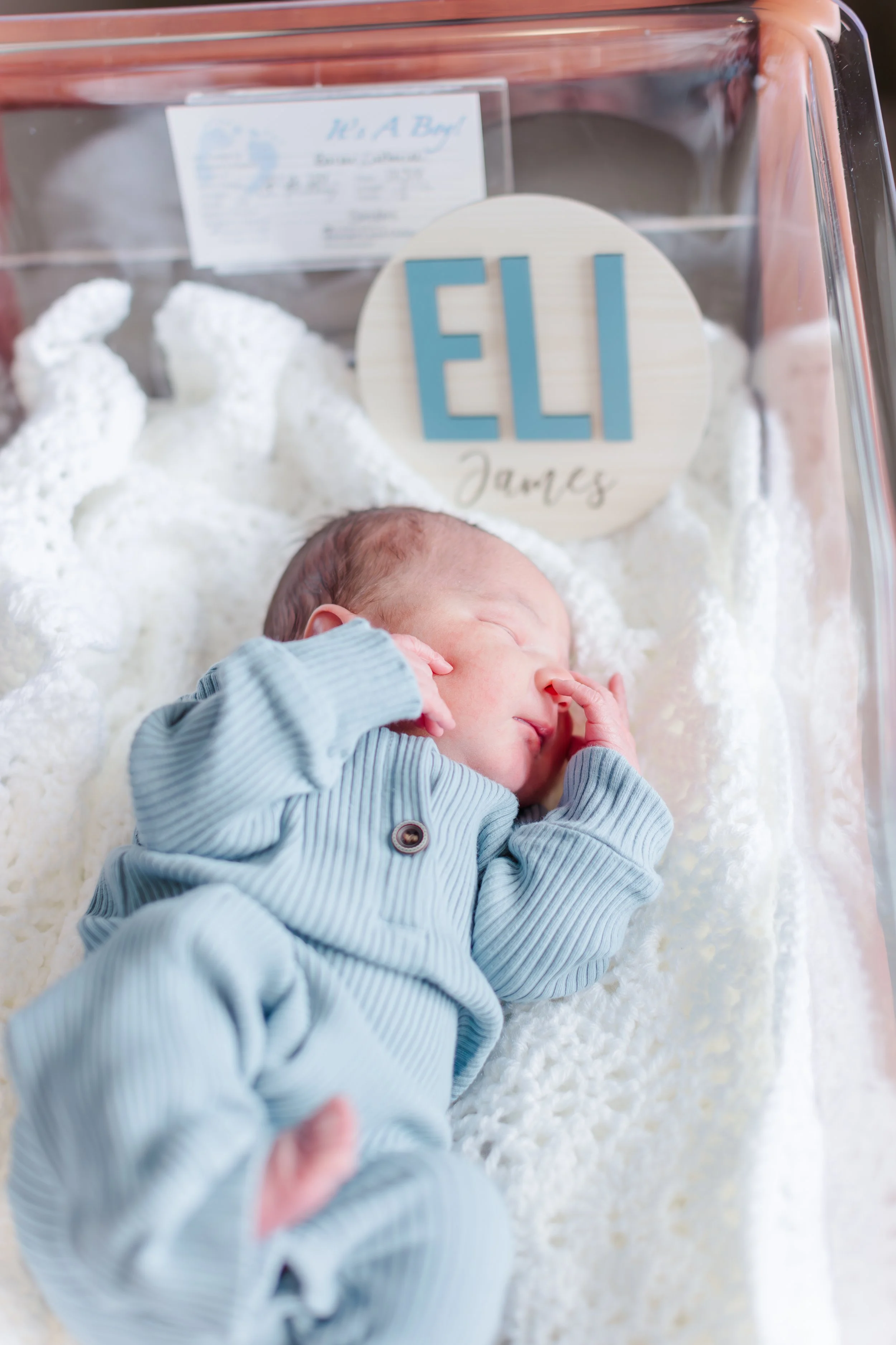 Baby Eli {Anderson, South Carolina Fresh 48 Newborn Photography} | Erin ...