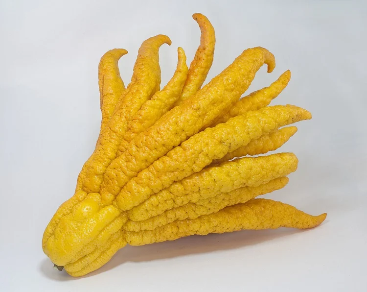 10 Rare Exotic Fruits You'll Love – The Epicerie