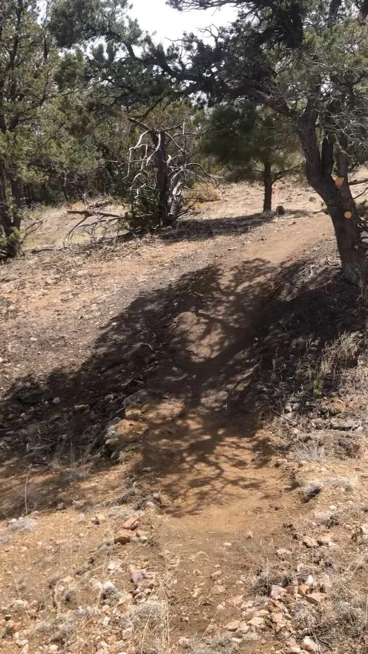 Rocket Ramps