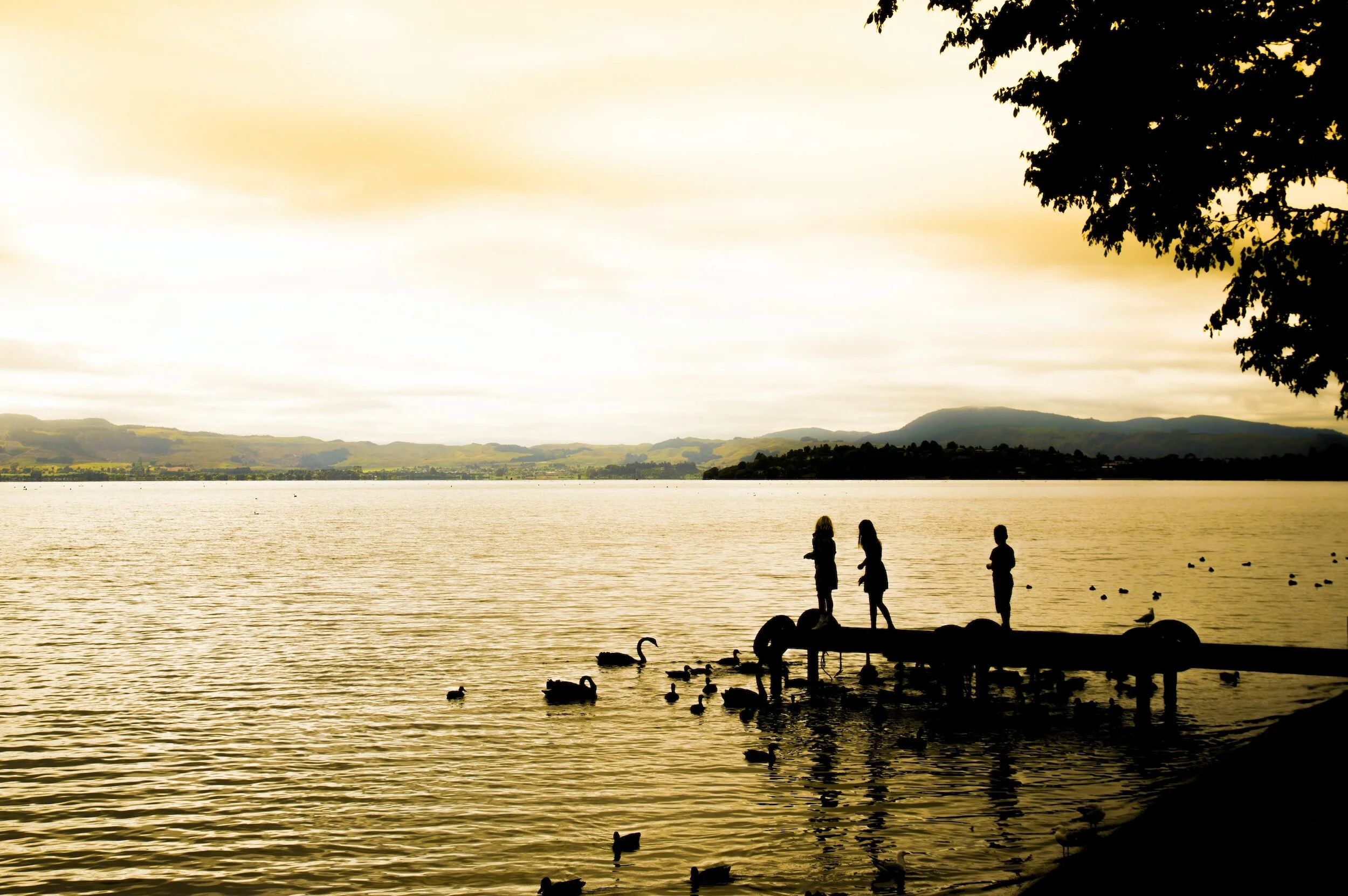 11 Ways to Relieve Stress Naturally-Three Creeks Counseling | Therapy ...