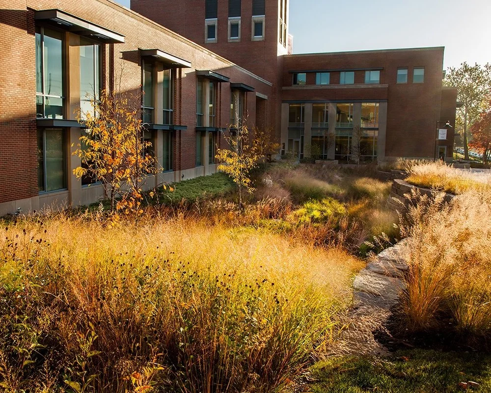 PROFILE — SWT Design