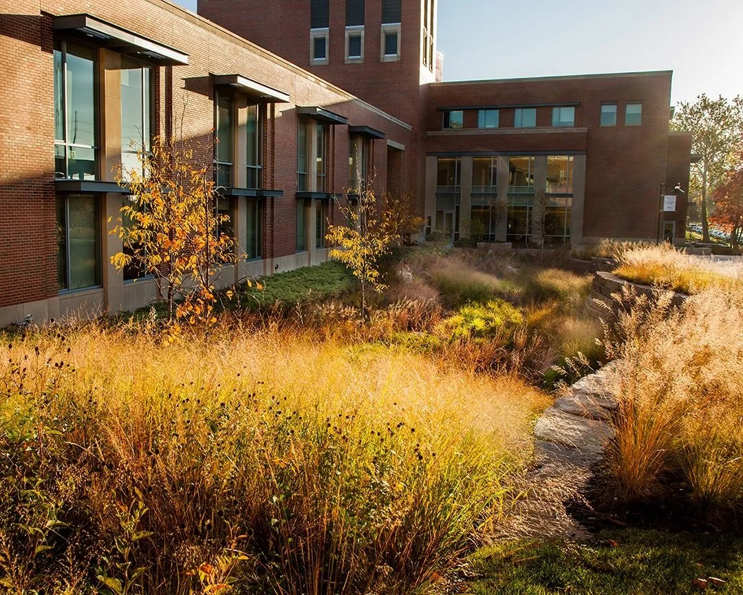 PROFILE — SWT Design