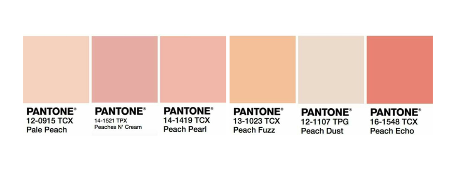 Embracing Elegance: The Allure of Pantone's Color of the Year – Peach ...