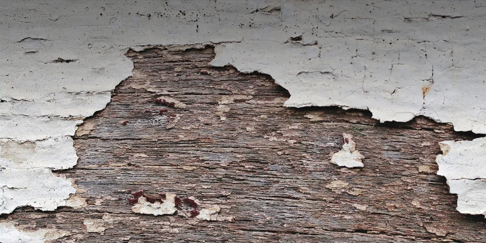 Lead Paint Sampling & Assessments Brisbane, Queensland | Hazsure