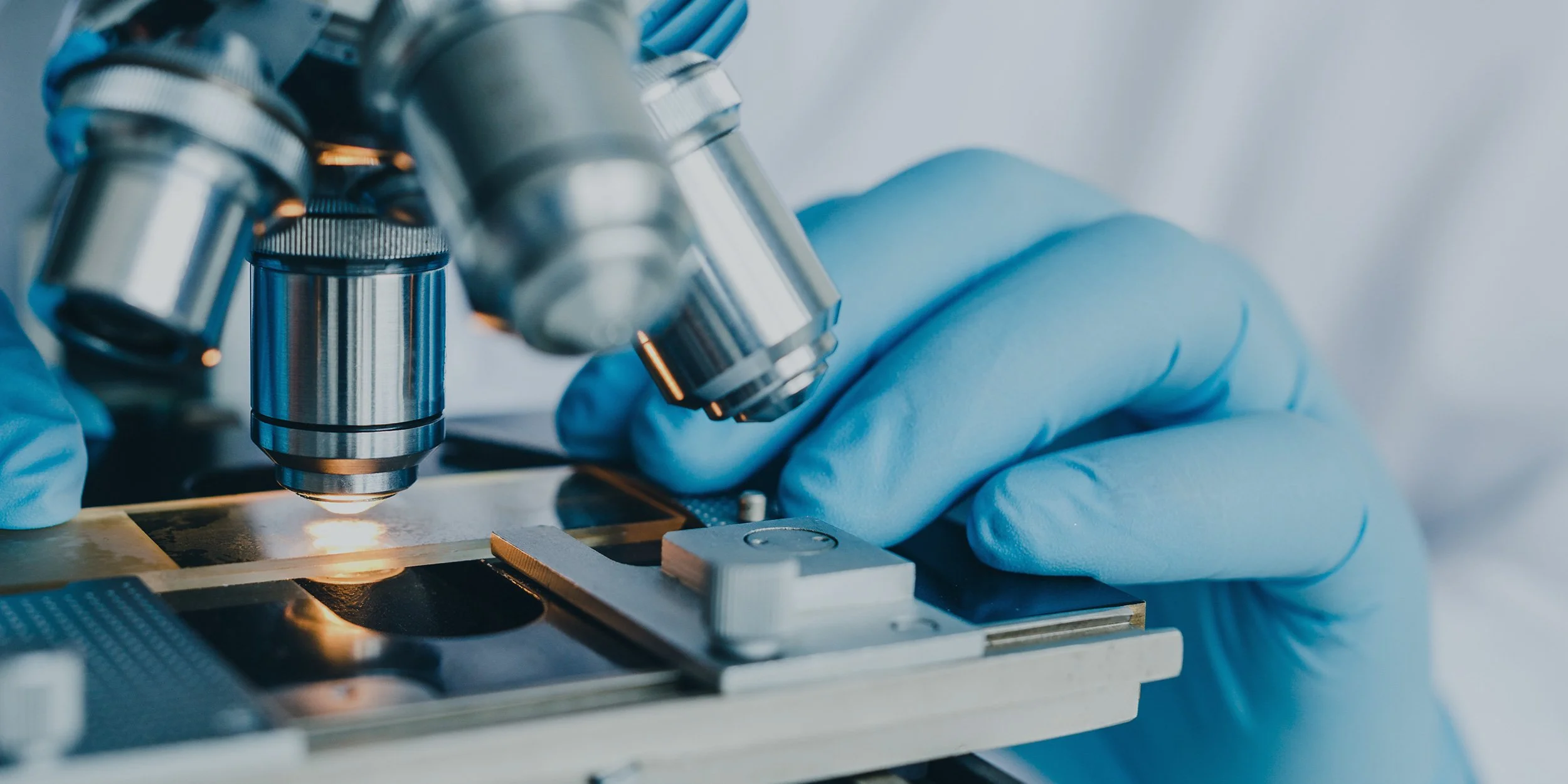 Laboratories for mould and asbestos testing in Brisbane, Queensland ...
