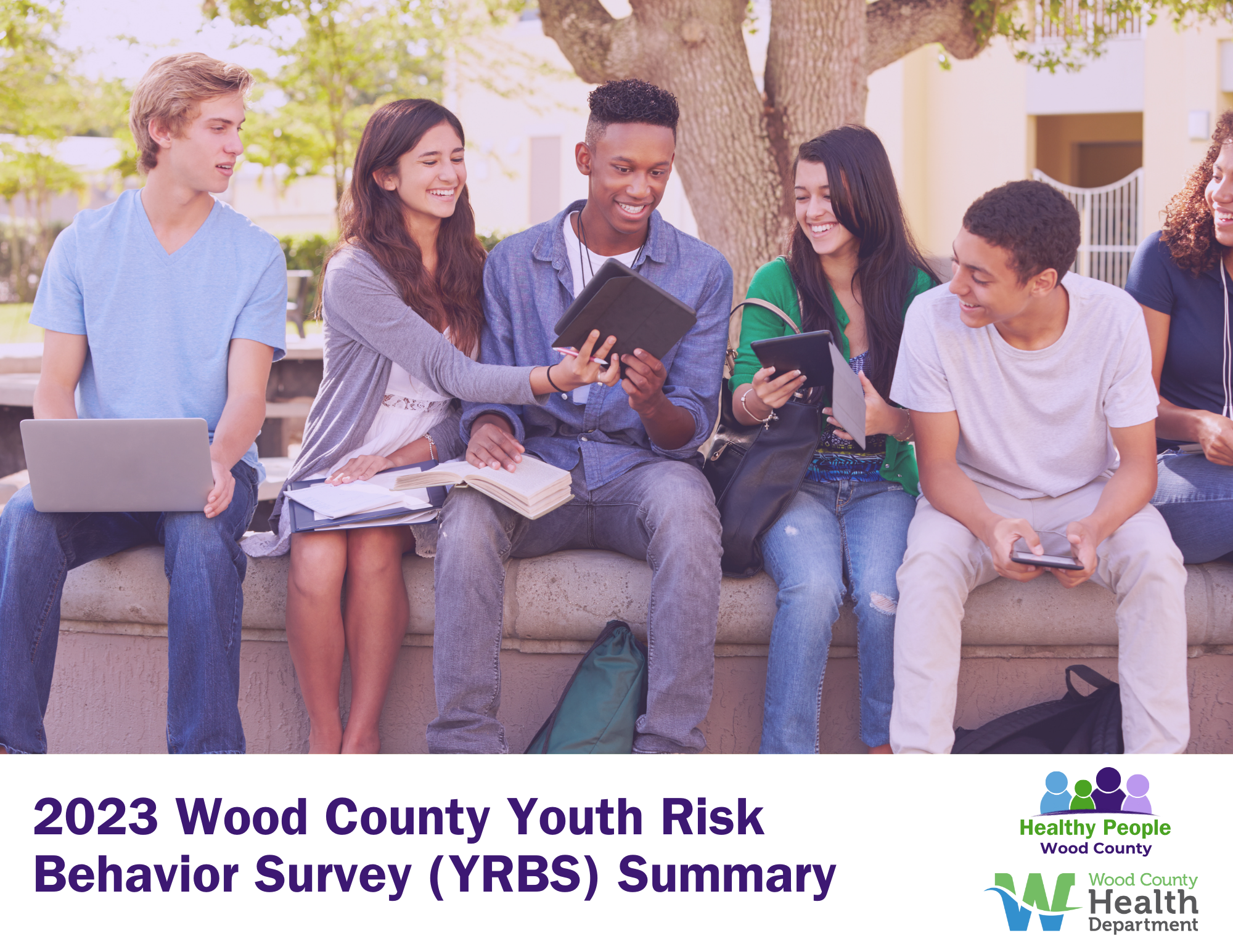 Wood County Data & Reports — Healthy People Wood County