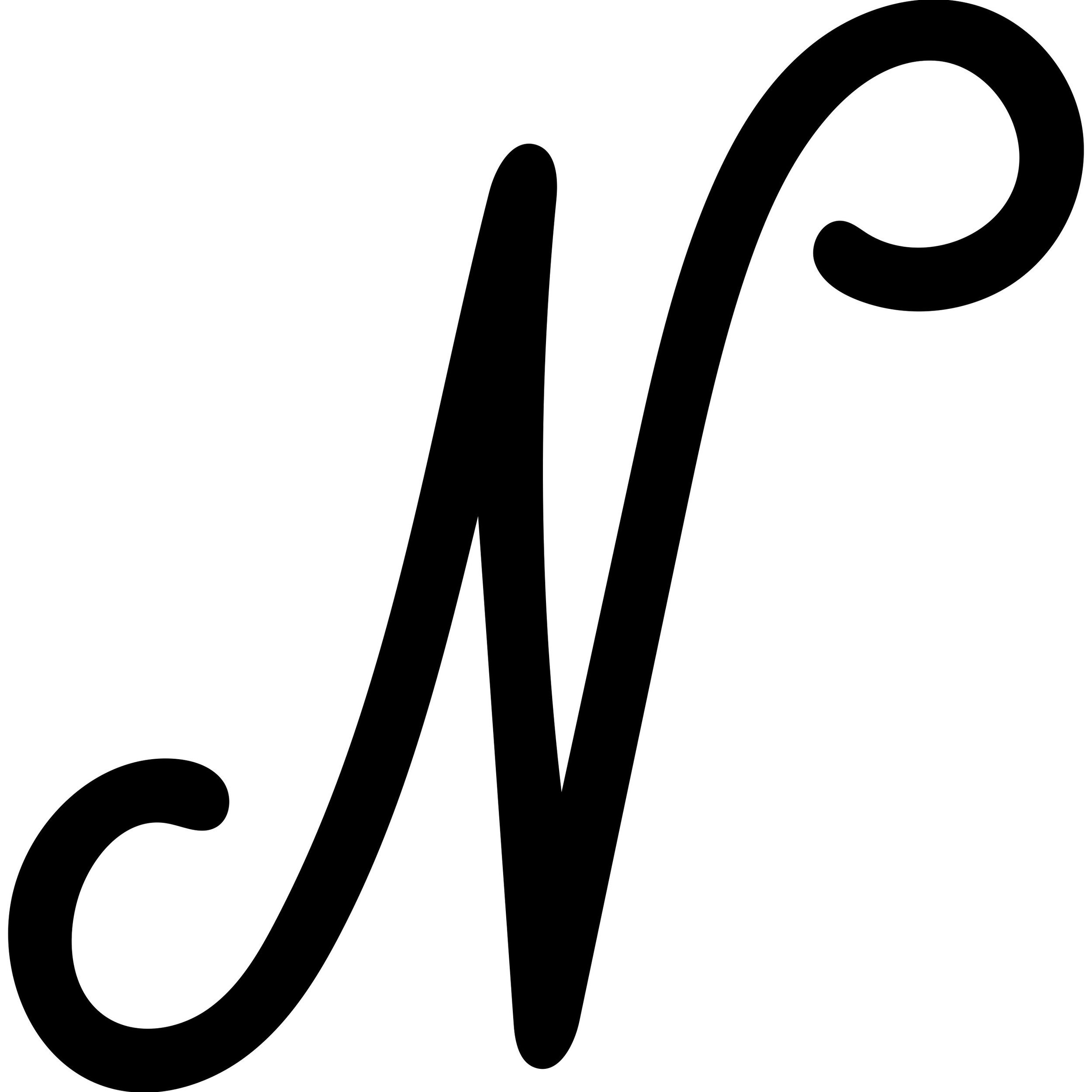Fancy Cursive N