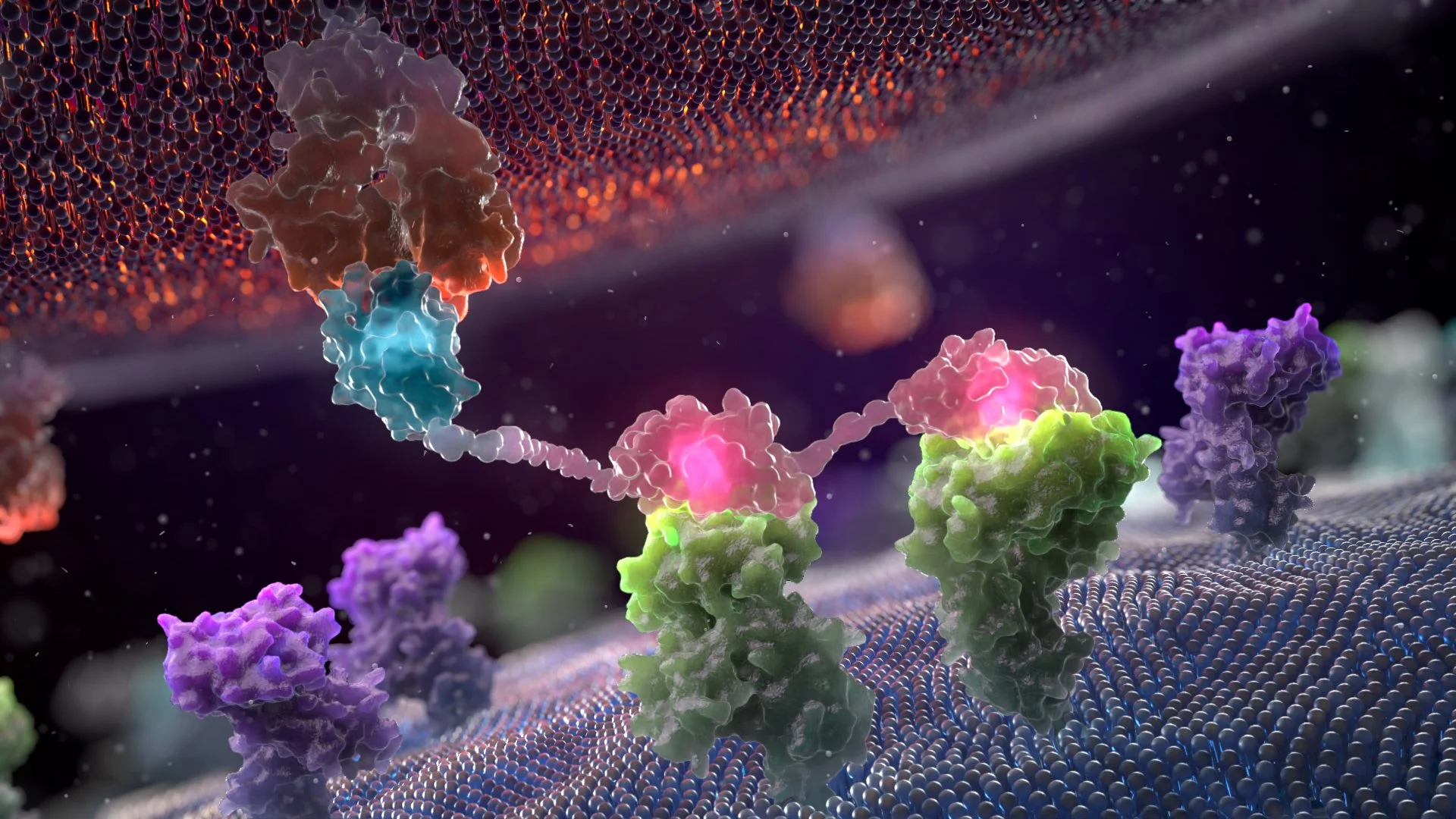 LabGenius Debuts T-cell Engager Optimisation Capability That Yields ...