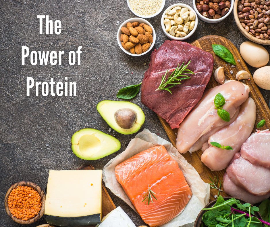 The power of protein for menopause — Re-Balance By Sally