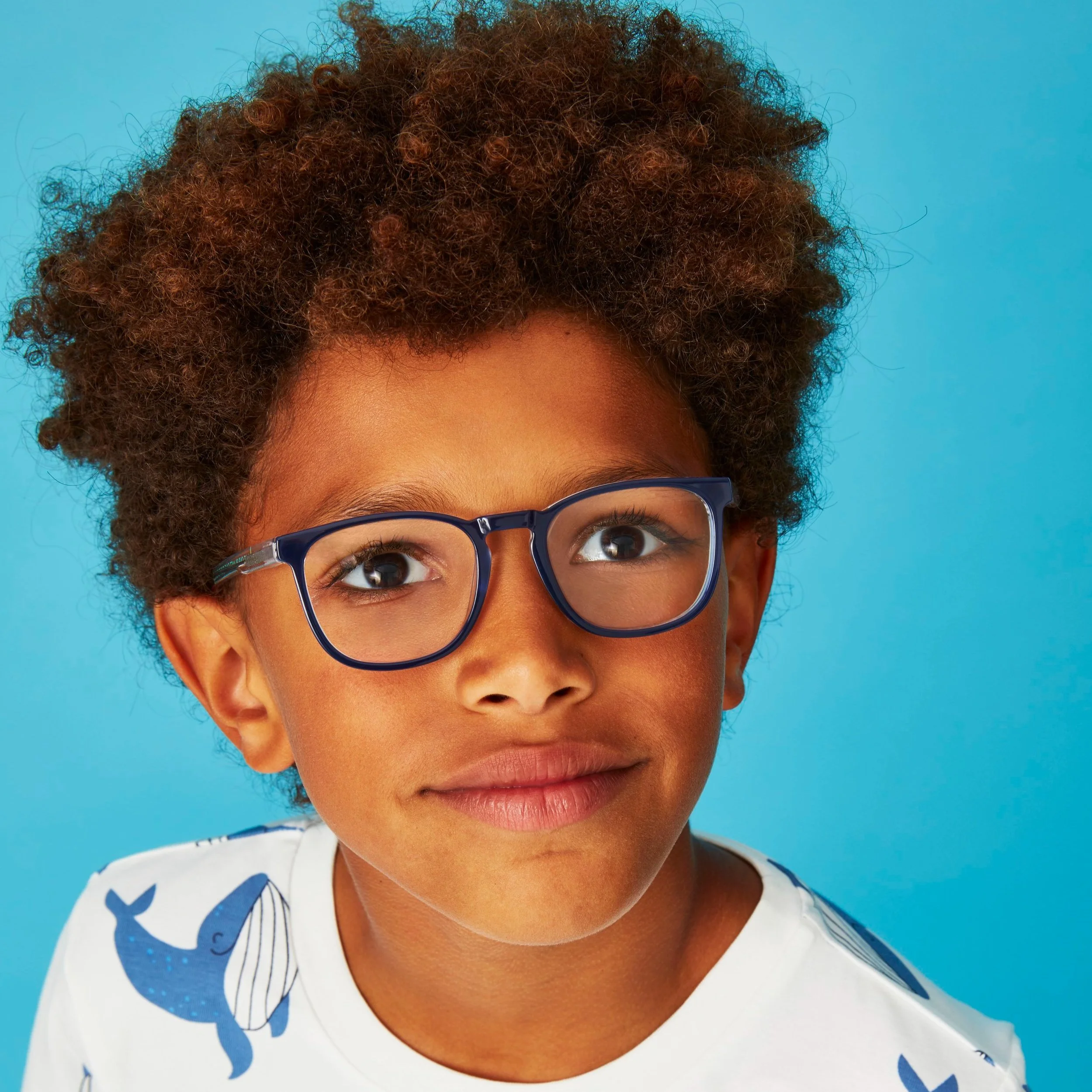 Optical — PLANET POP