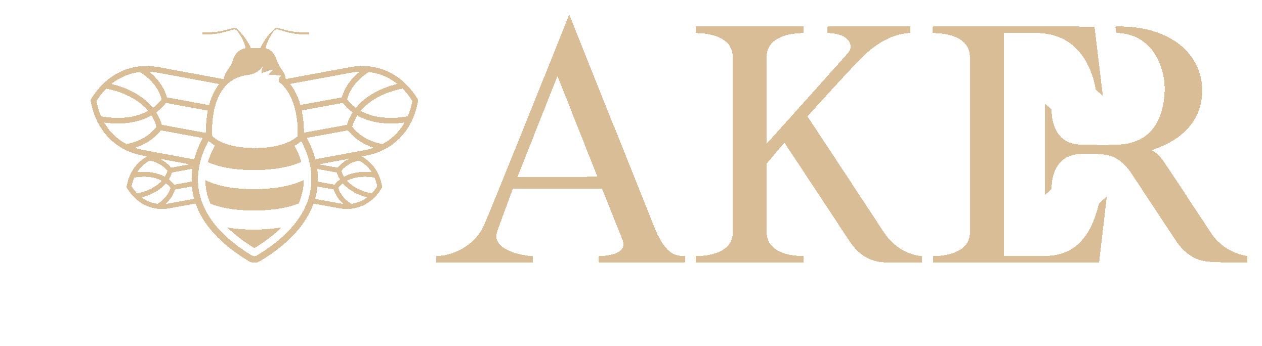Aker Logo