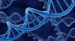 Services — Your Site Title