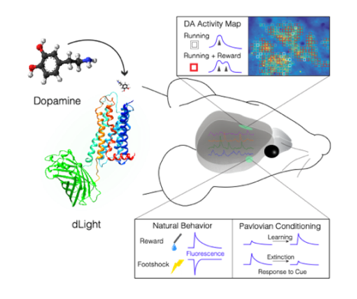 Services 1 — Neurotools